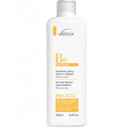Vebix B6 Phytamin Shampoo Capelli Secchi e Sfibrati Ristrutturante