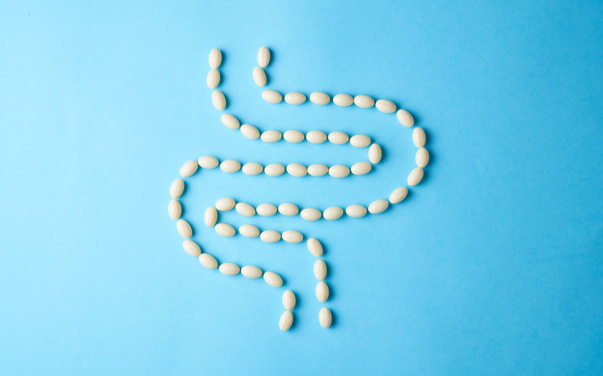 Il Tesoro Nascosto del Benessere: Scopri l'Importanza dei Probiotici ...